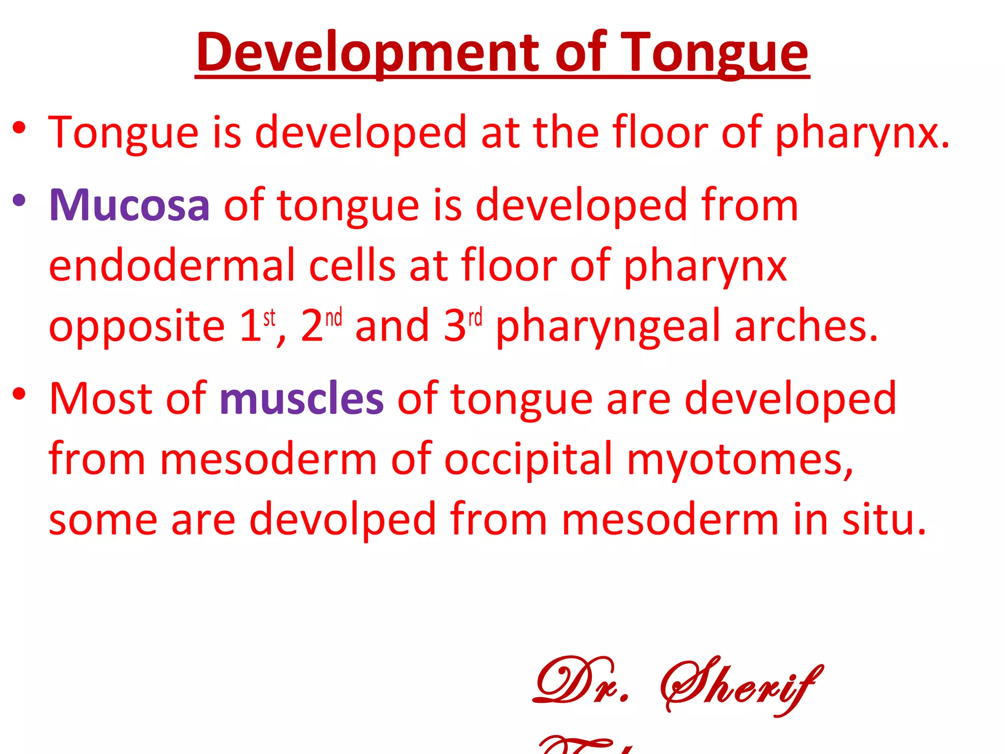 Development of Tongue, Thyroid Gland and Respiratory System (Special ...