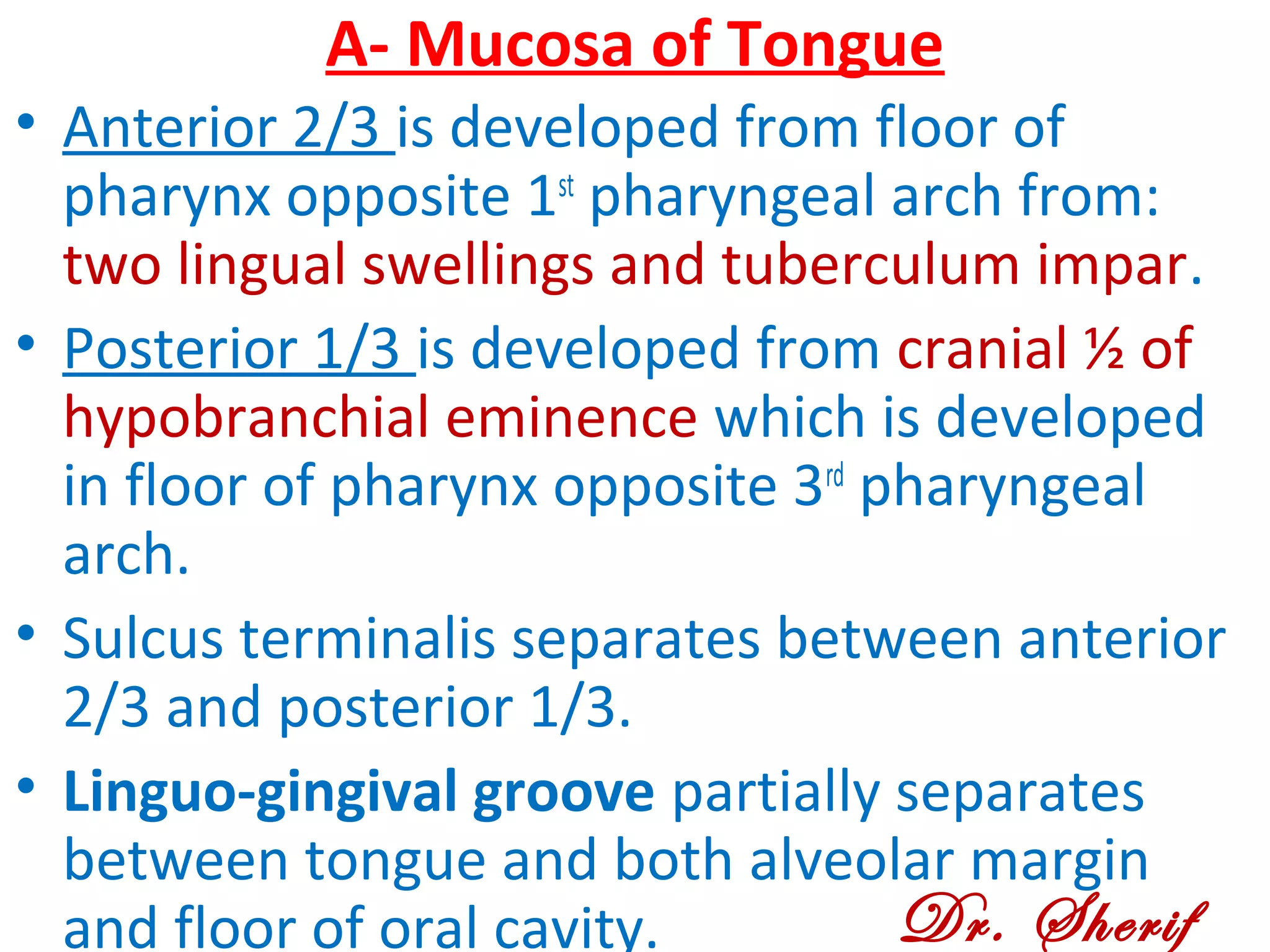 Development of Tongue, Thyroid Gland and Respiratory System (Special ...