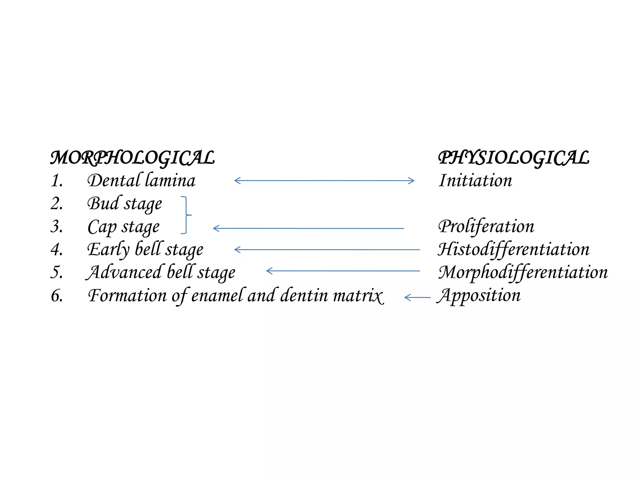 Development of tooth | PPTX