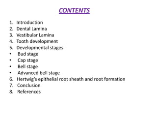 Development of tooth | PPT