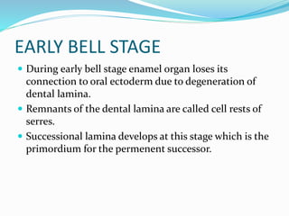 Development of tooth | PPTX