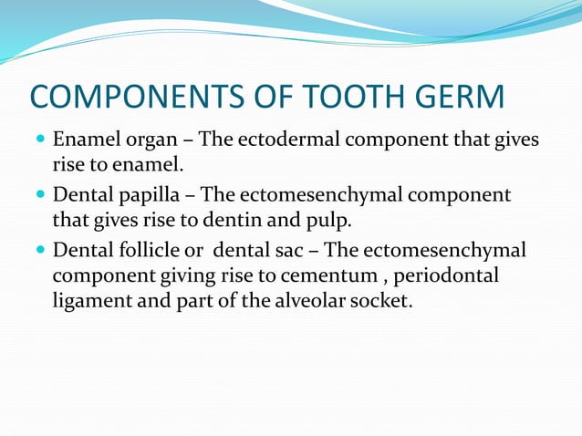 Development of tooth | PPTX | Dental Health | Diseases and Conditions