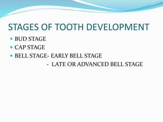 Development of tooth | PPTX