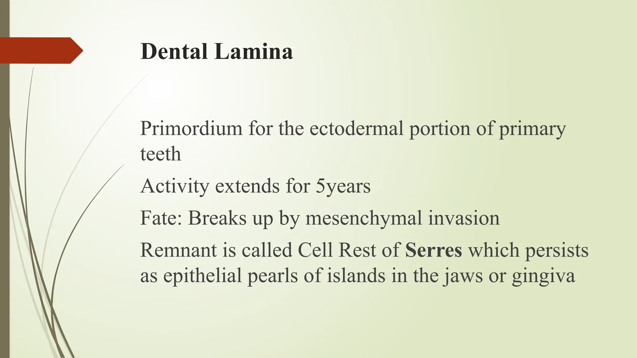 Development of tooth- Introduction and Histology | PPTX