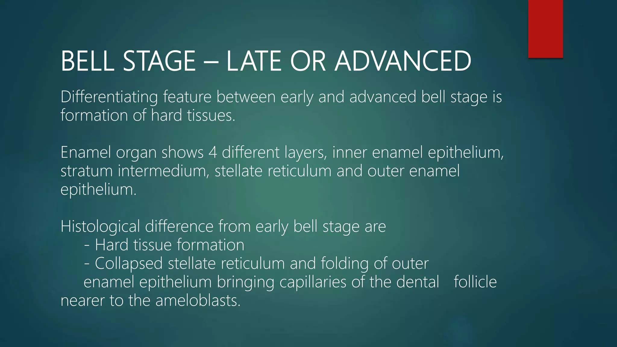 Development of tooth | PPTX