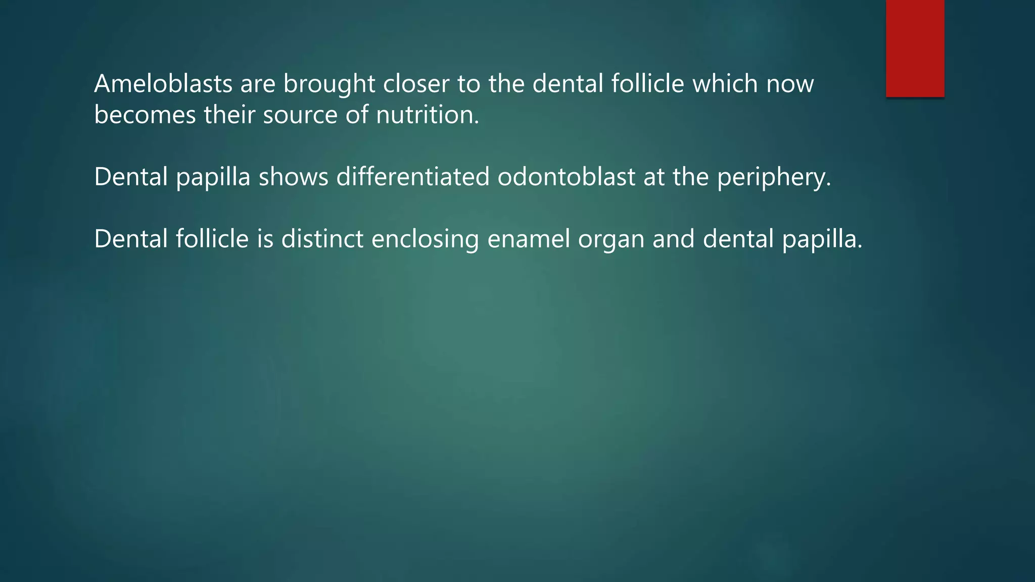 Development of tooth | PPTX