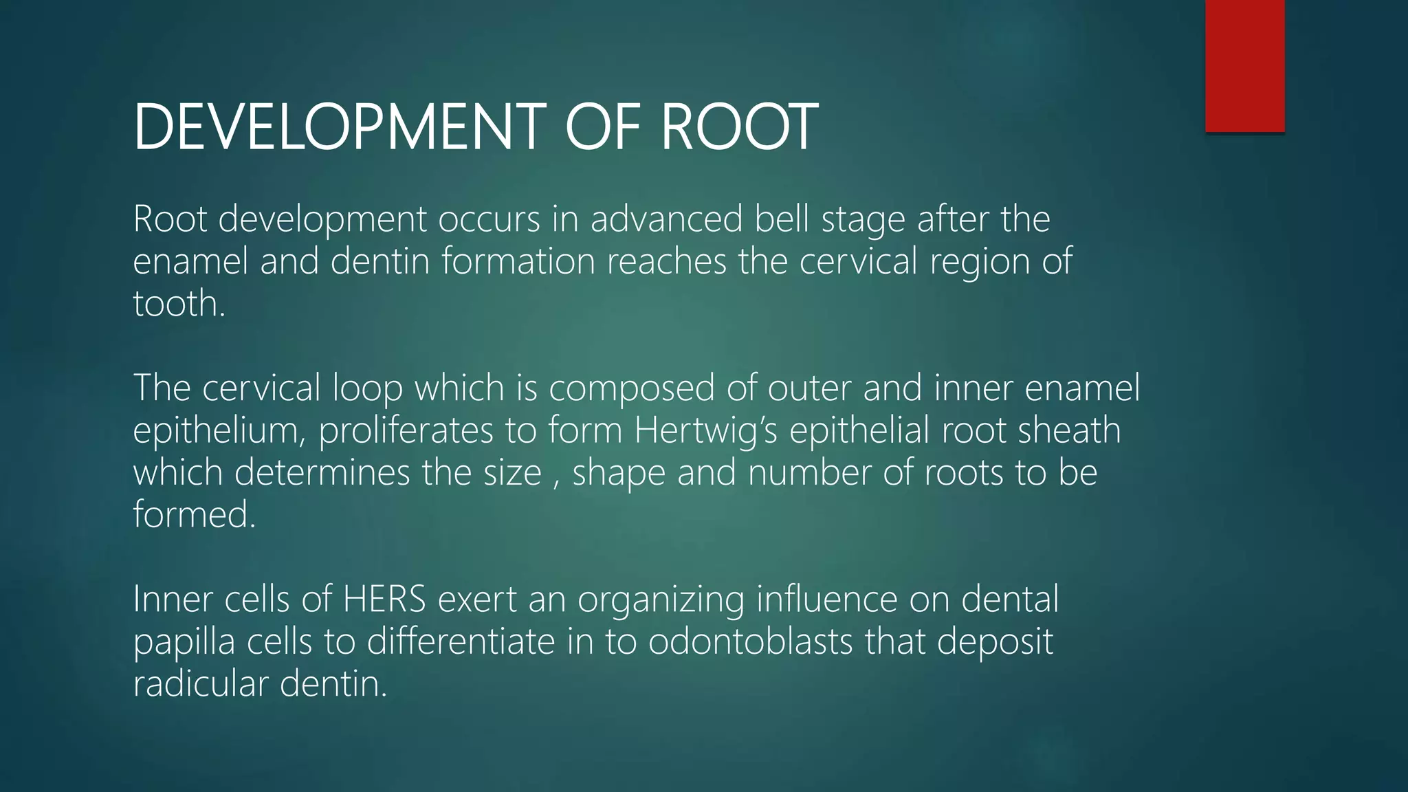 Development of tooth | PPTX