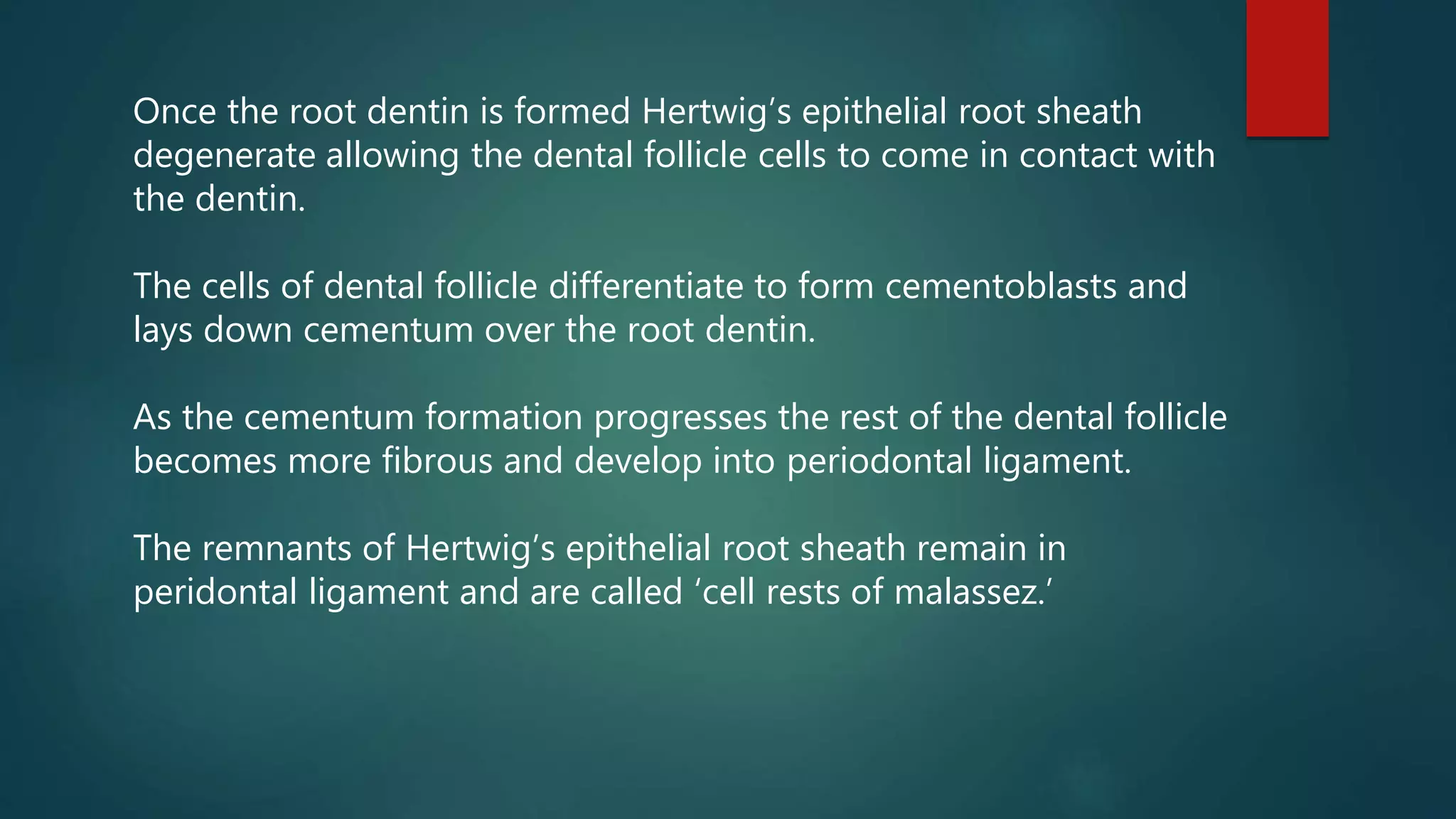 Development of tooth | PPTX