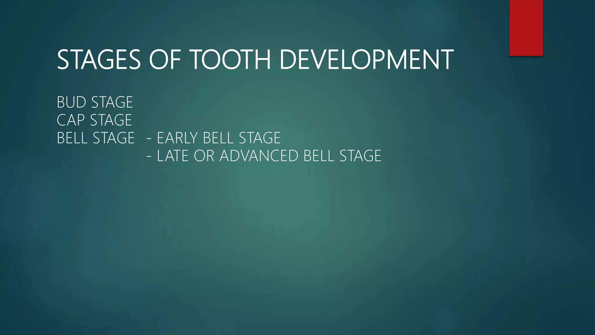 Development of tooth | PPTX