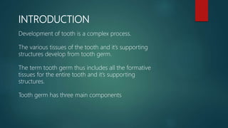 Development of tooth | PPTX