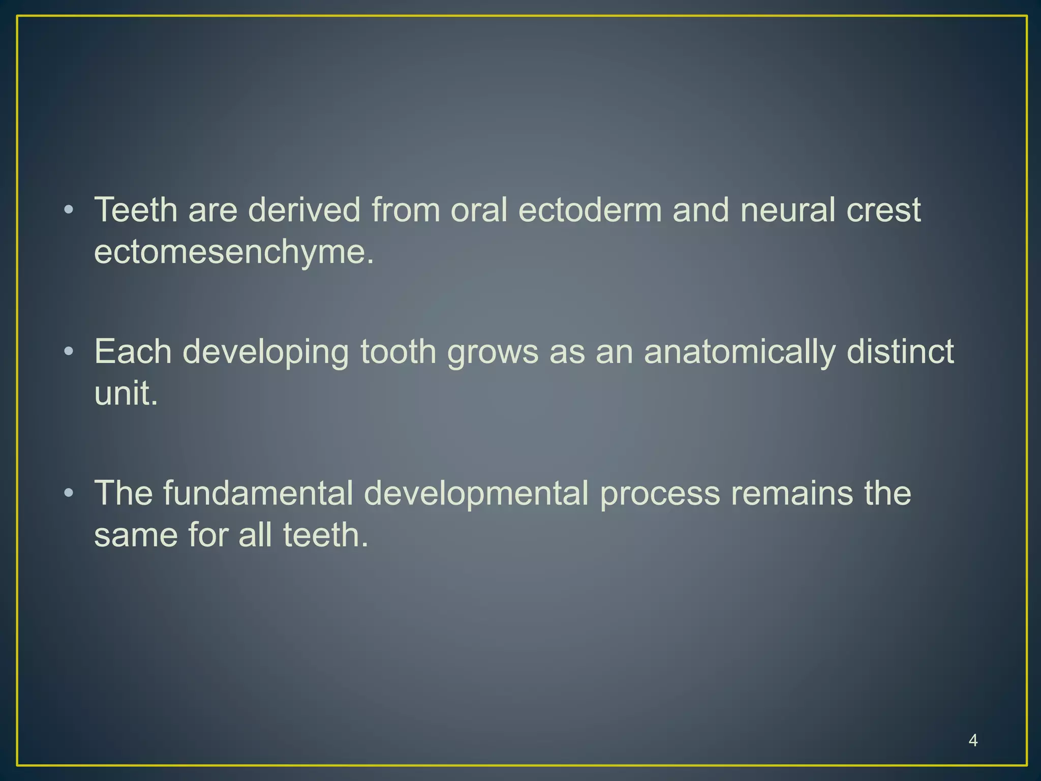 Development of tooth Part 2 | PPTX