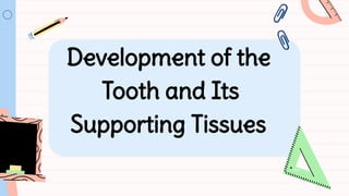 Development of tooth & It's supporting tissue.pdf