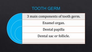 Development of Tooth By Dr. Yashkumar Shah | PPT