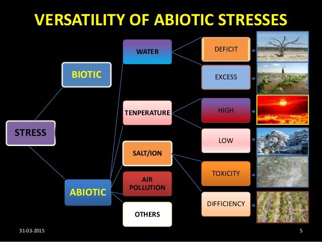 Development of transgenic plants for abiotic stress resistance