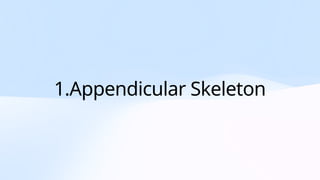 Development of Upper Limb: clear, systematic overview of the ...