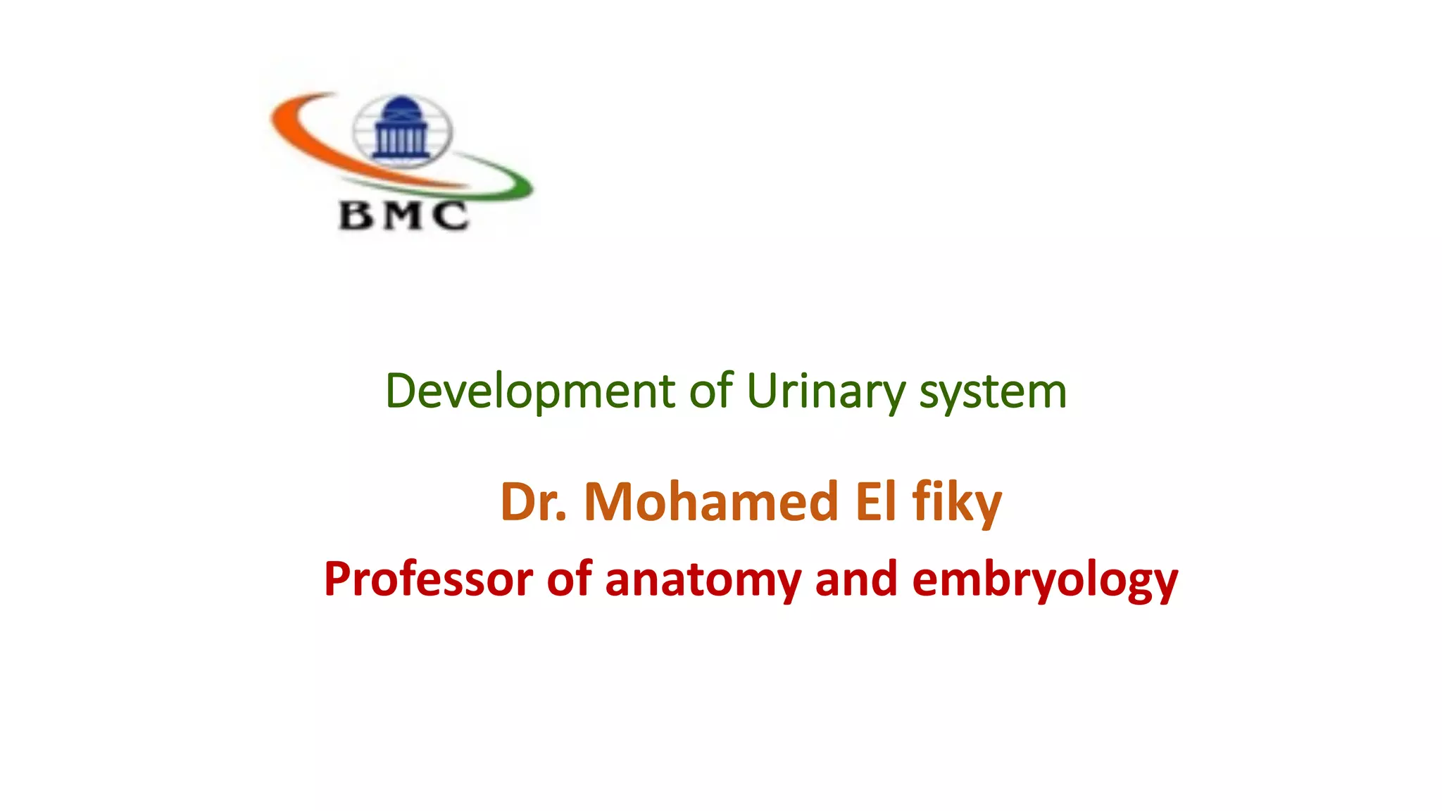 Development of urinary system | PPT