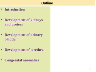 Development of urinary system ,2025.pptx