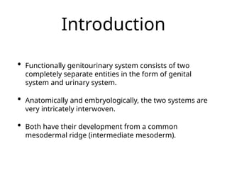 Development and embryology of urogenital system | PPTX