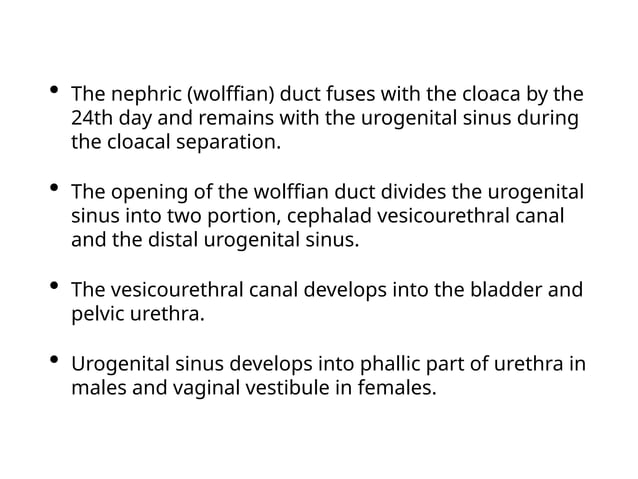 Development and embryology of urogenital system | PPTX