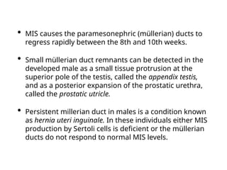 Development and embryology of urogenital system | PPTX