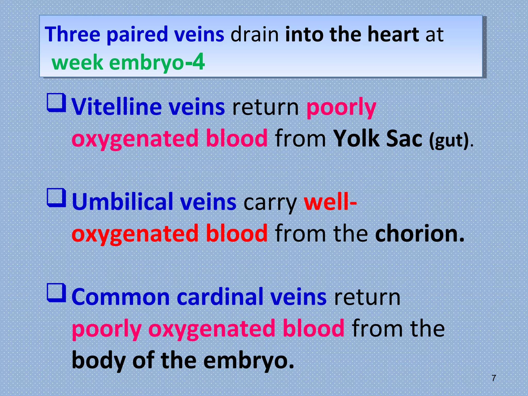 Development of veins nagwa | PPT | Pregnancy | Reproductive Health