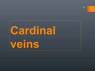 Development of veins nagwa | PPT