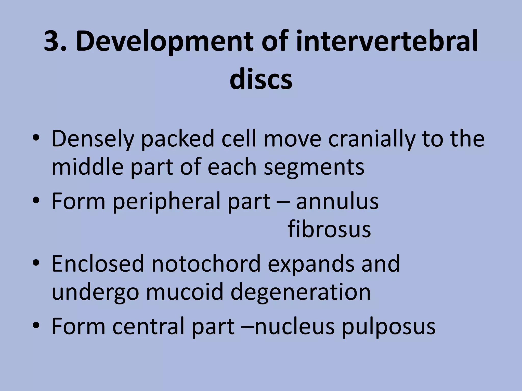 Development Of Vertebral Column | PPTX
