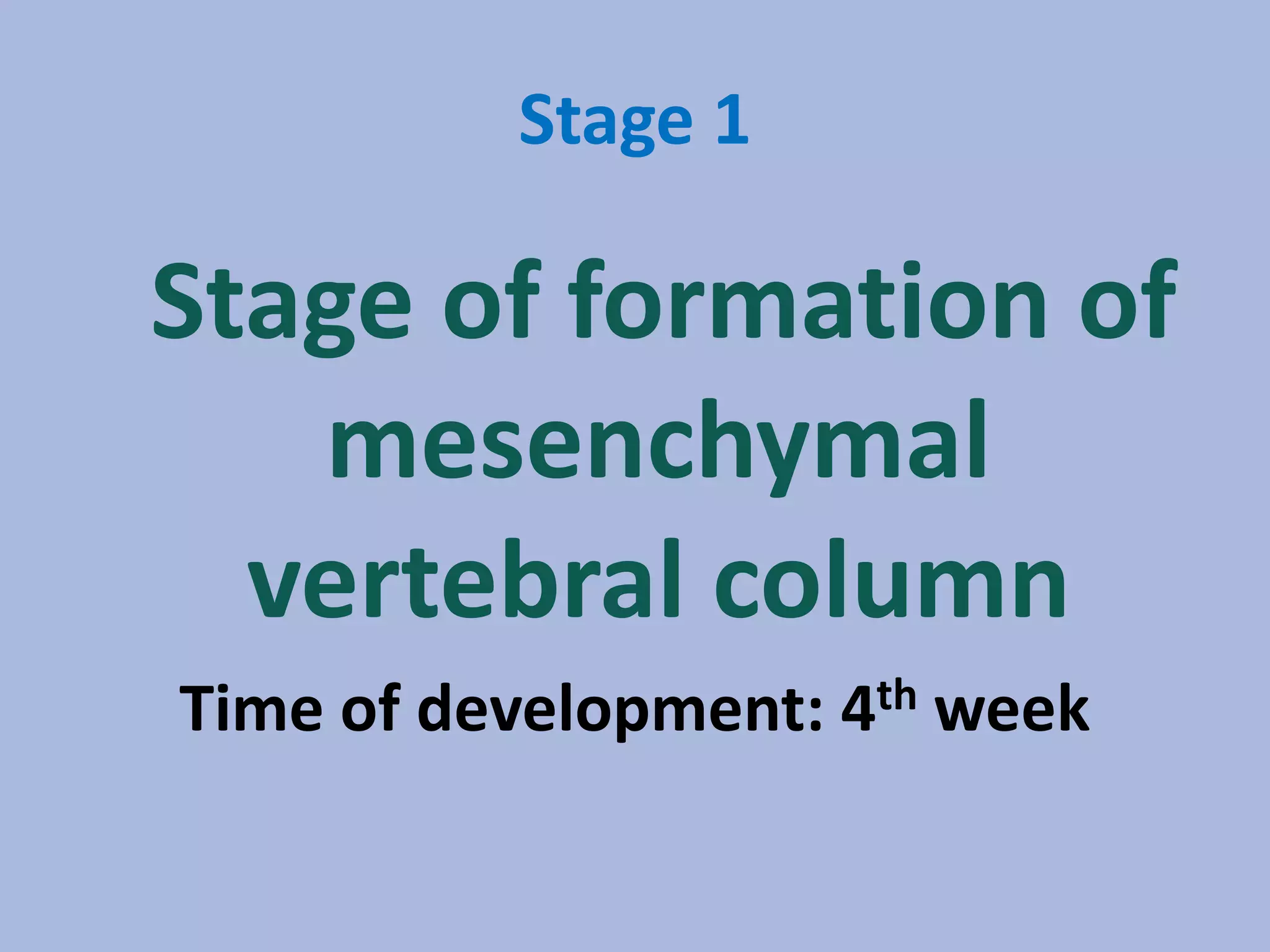 Development Of Vertebral Column | PPTX