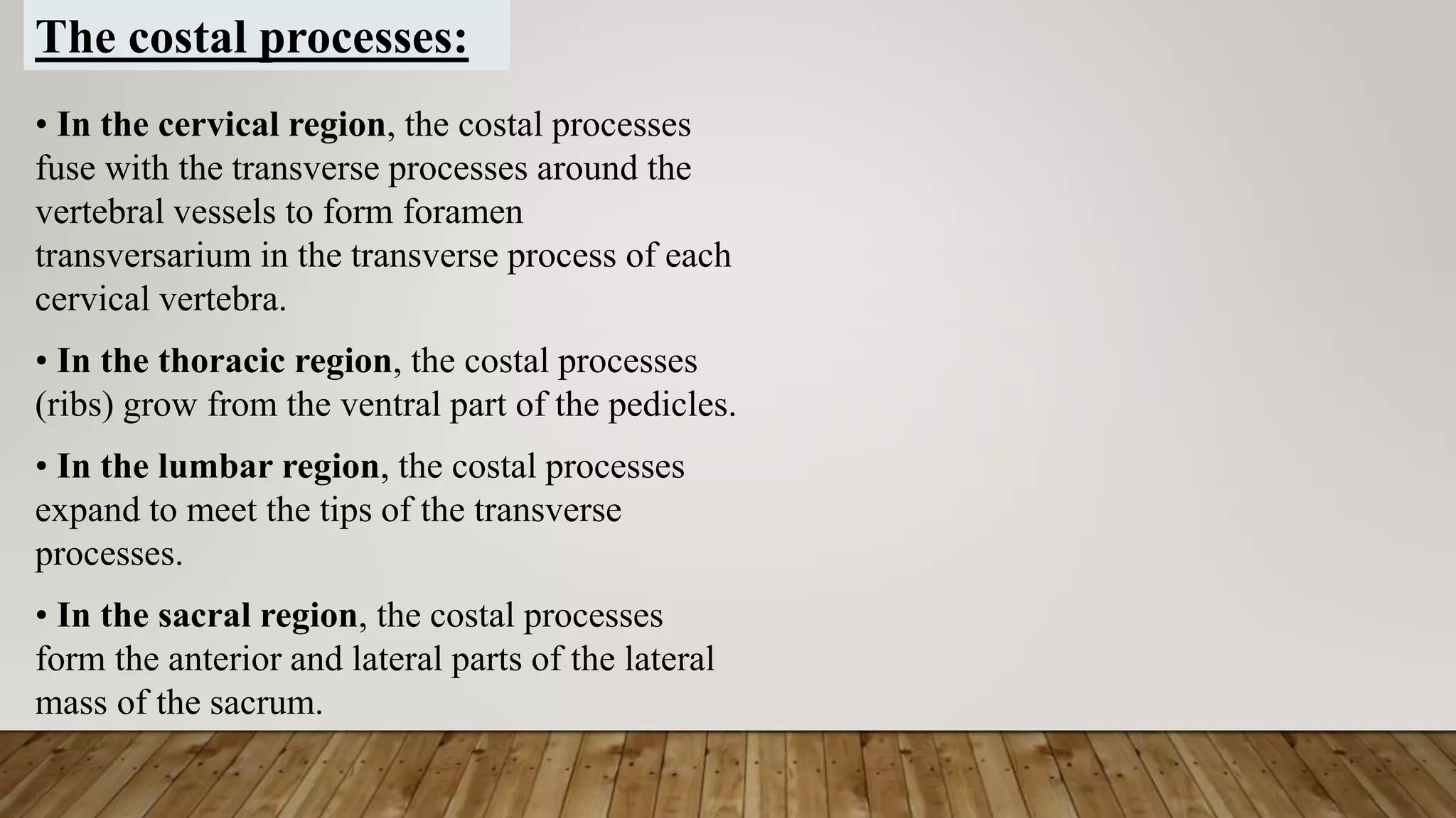 development of vertebral column.pptx