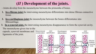development of vertebral column.pptx