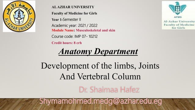 Development Of Vertebral Column Pptx