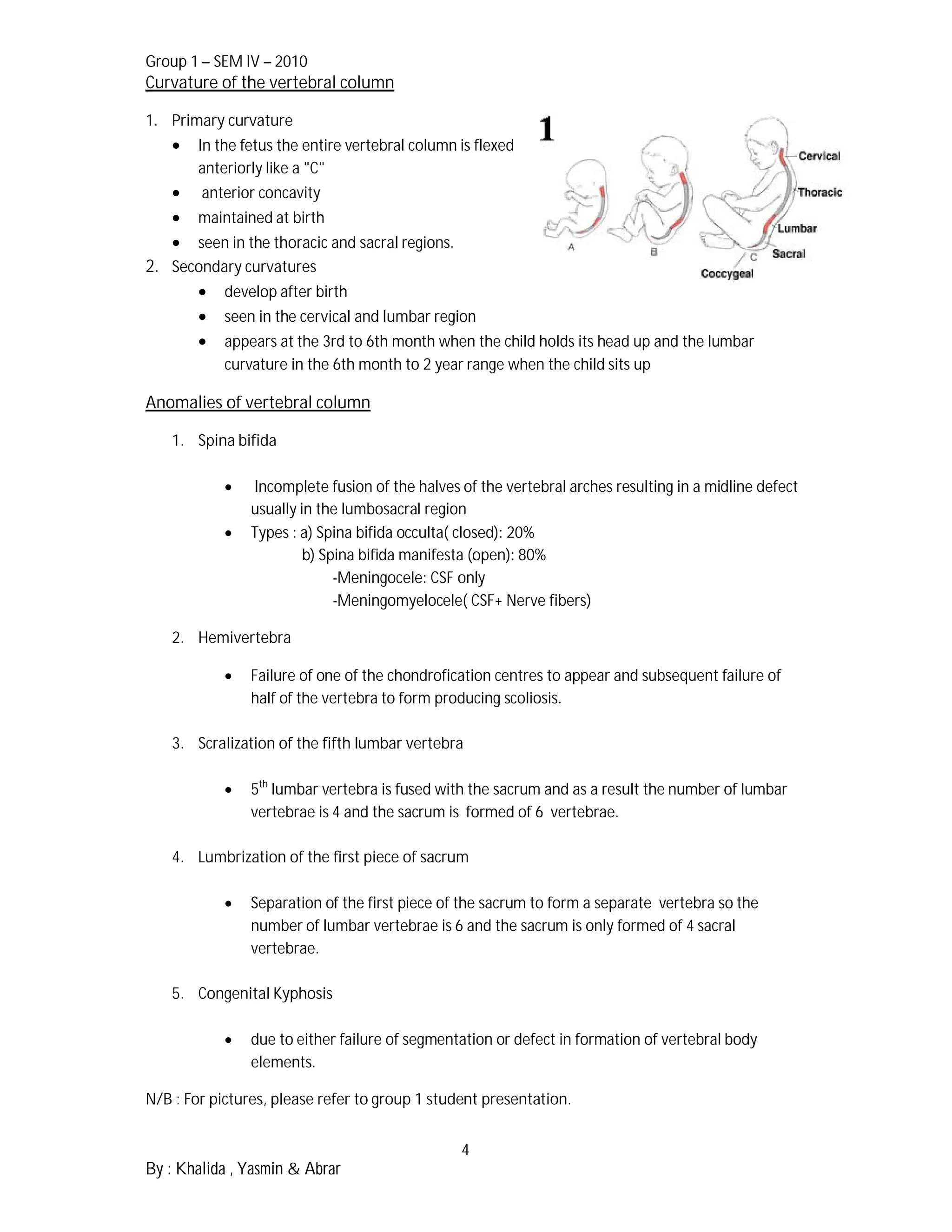 Development Of Vertebral Column Group 1 | PDF