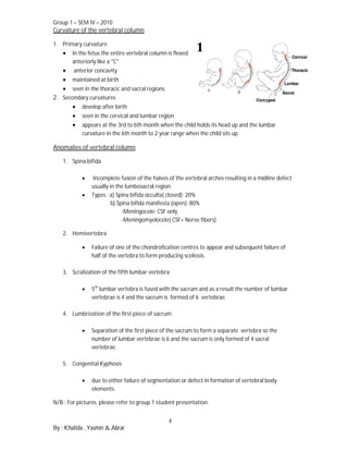 Development Of Vertebral Column Group 1 | PDF