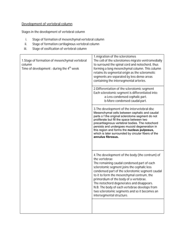 Development Of Vertebral Column Group 11 Pdf