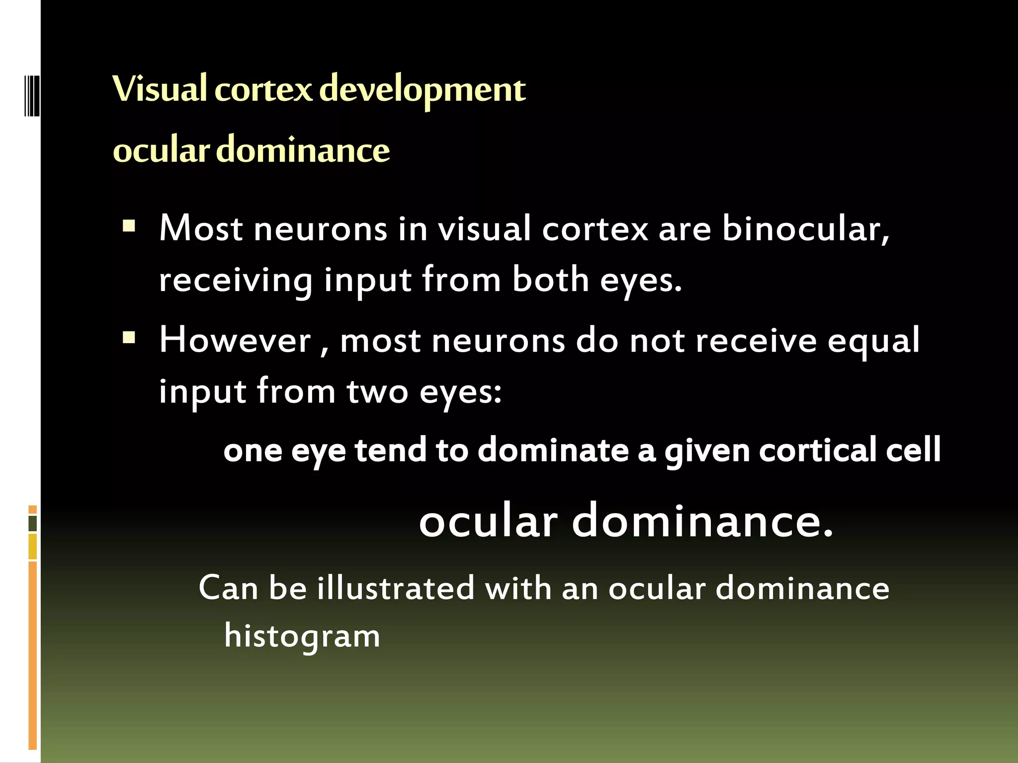 Development Of Vision | PPTX