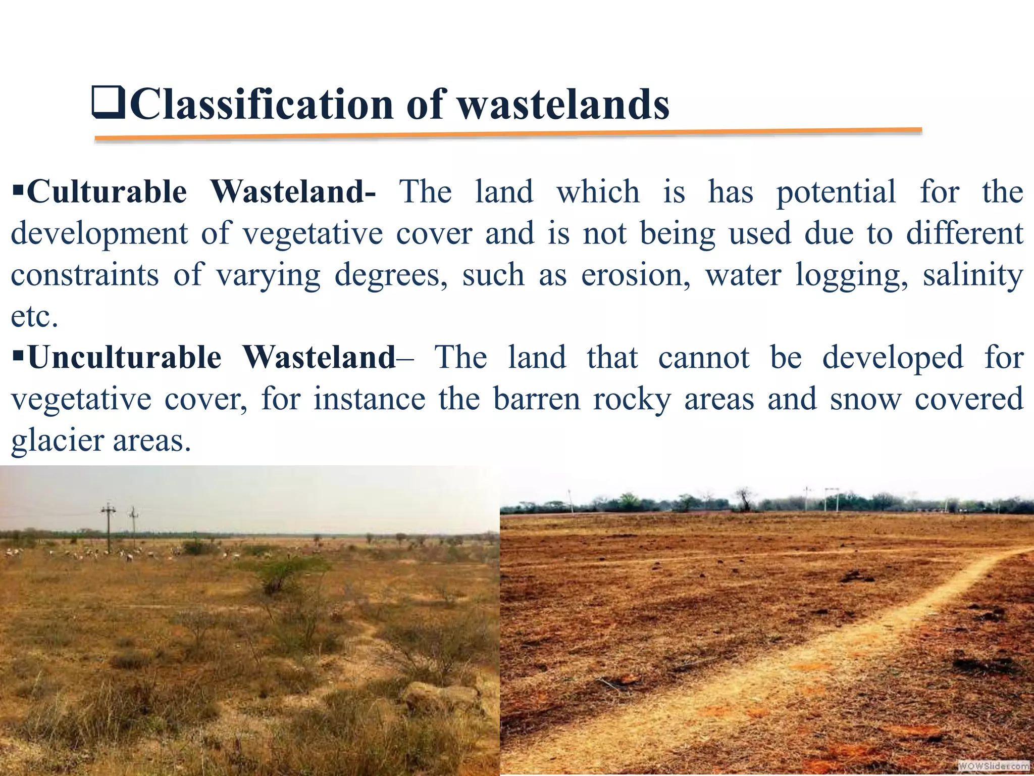 Development of wasteland under social forestry programme | PPTX