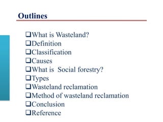 Development of wasteland under social forestry programme | PPTX