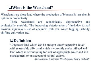 Development of wasteland under social forestry programme | PPTX