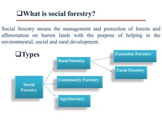 Development of wasteland under social forestry programme | PPTX