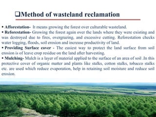 Development of wasteland under social forestry programme | PPTX