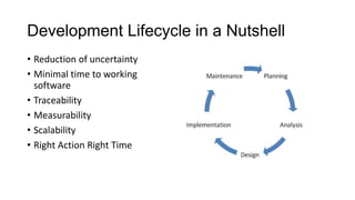 Development Process for Micro Projects | PPTX