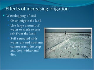 Sec 4 Exp Developments In Food Production | PPT | Agriculture | Industries