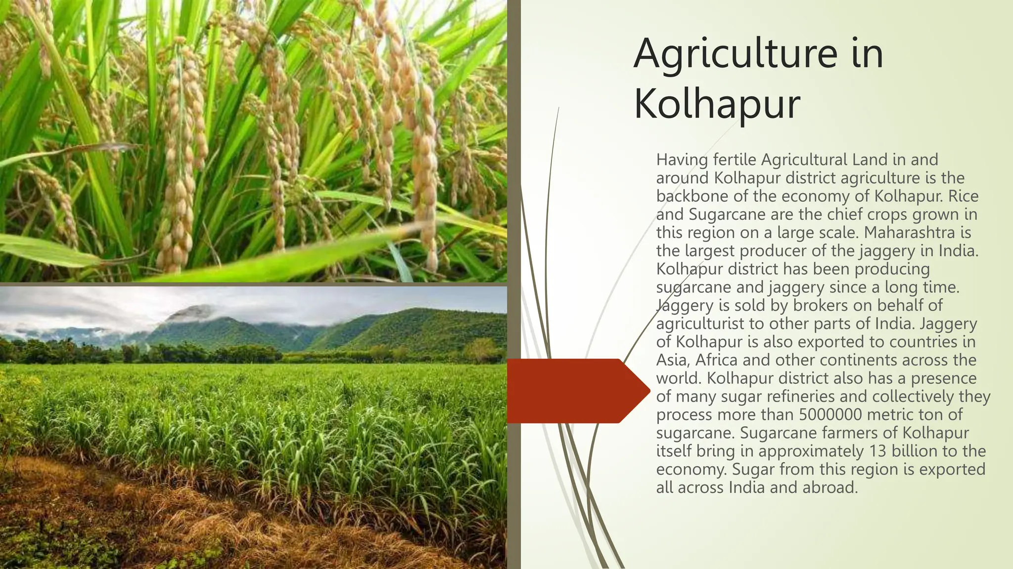 development sector in kolhapur . Agriculture in kolhapur . | PPT