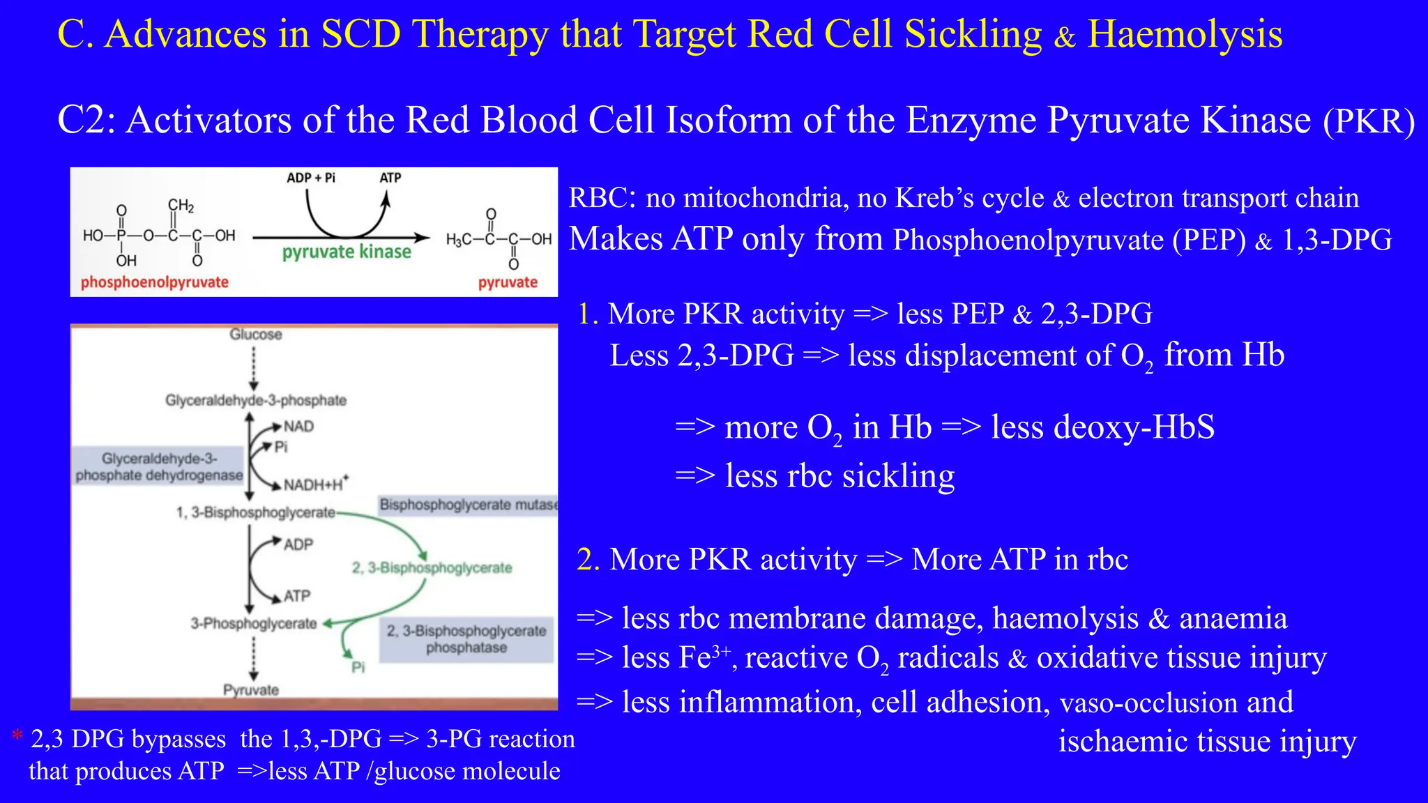 Developments in the Care of People Living with Sickle Cell Disease.pptx