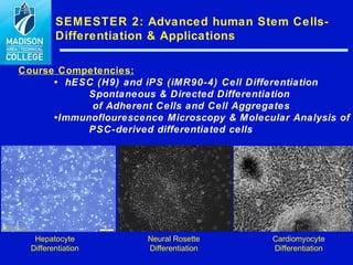 Development of a Technical Program in Stem Cell Science | PPT
