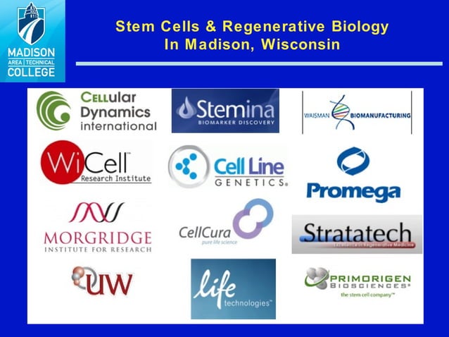 Development of a Technical Program in Stem Cell Science | PPT