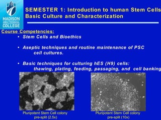 Development of a Technical Program in Stem Cell Science | PPT