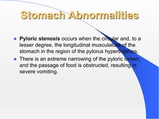 DEVELOPMENT stomach.pptx