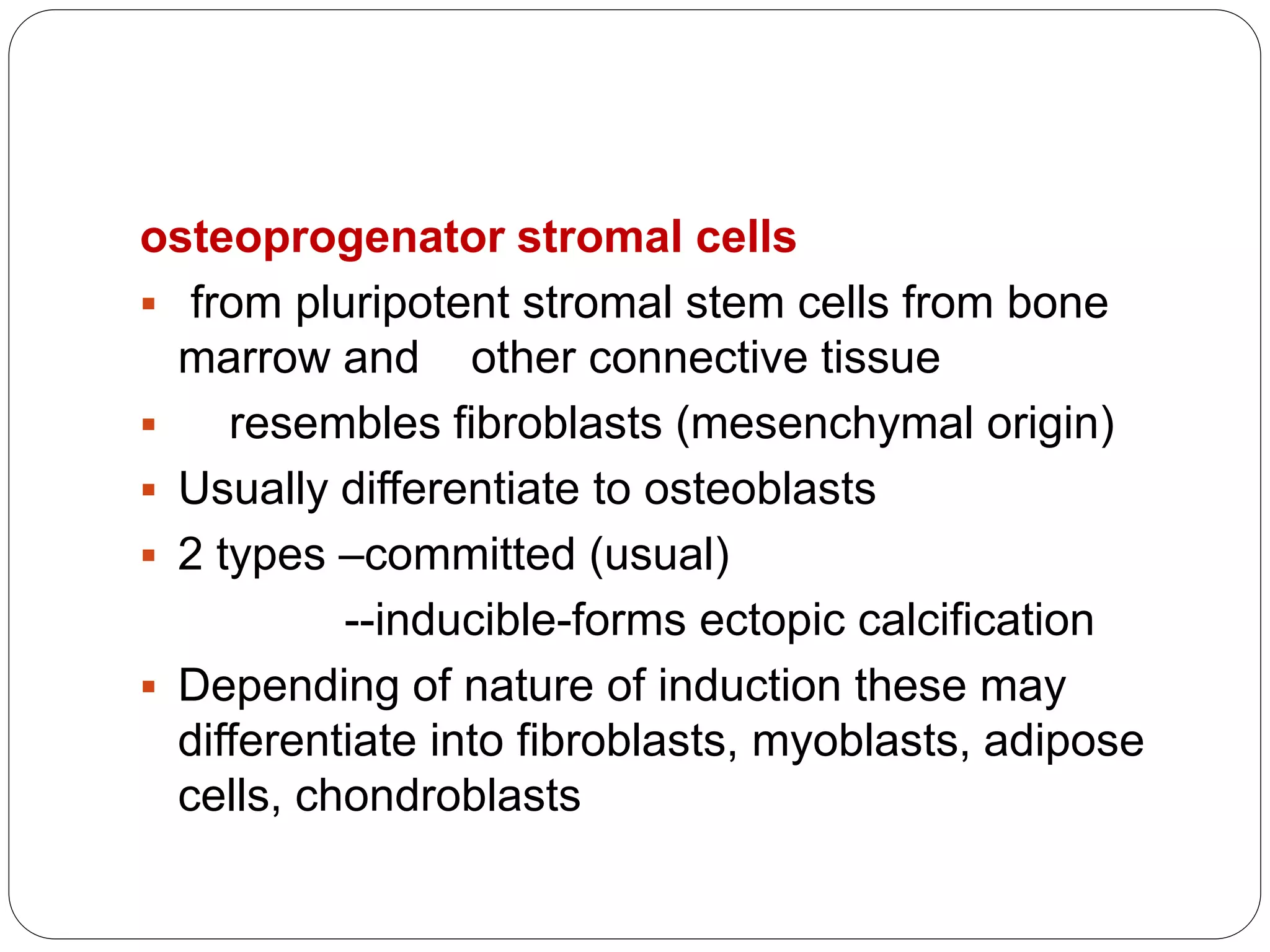 Development,structure and organization of bone | PPTX