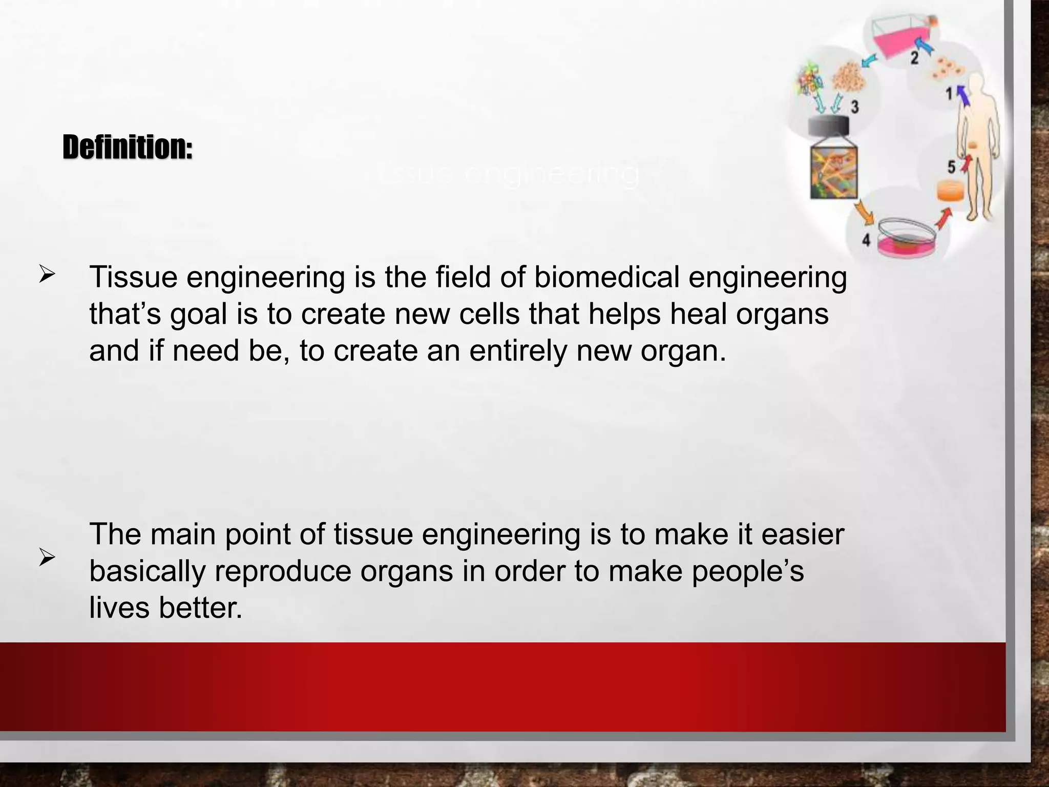 Development tissueengineering | PPT